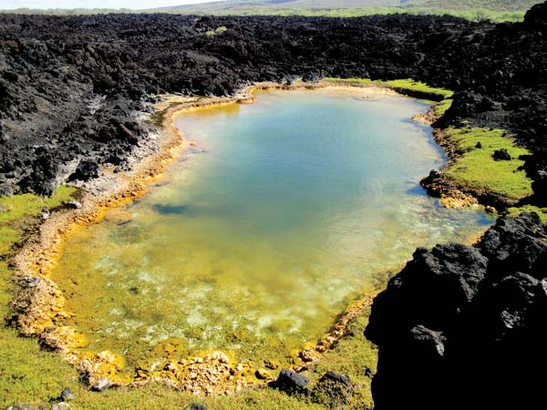 Responsible behavior can help protect Maui’s anchialine pools | News ...